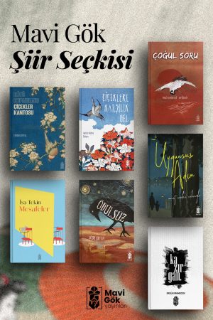 Kitap – Sayfa 2 – Mavi Gök Yayınları